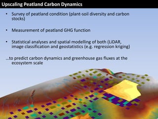 Peatland Diversity and Carbon Dynamics | PPT