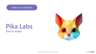 Pika Labs | PPT