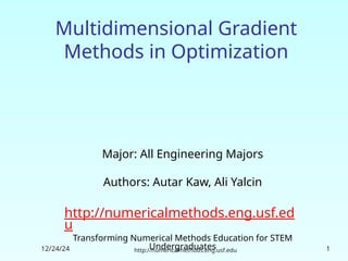 multigradient based data science optimization.ppt