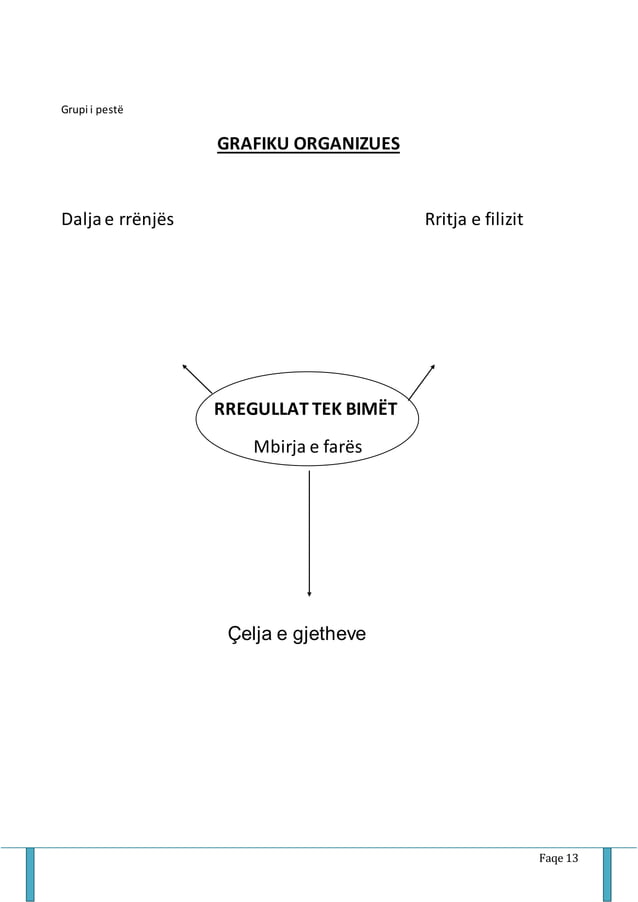 Modeli i një planifikimi ditor | DOCX