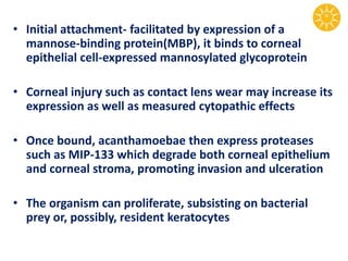 Acanthamoeba keratitis | PPTX