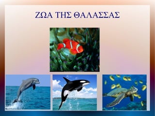 ΖΩΑ ΥΠΟ ΕΞΑΦΑΝΗΣΗ | ODP