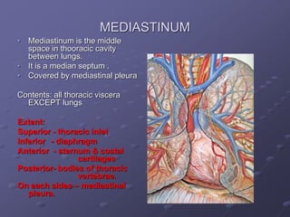 Mediastinum | PPT