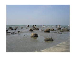 beautiful cox's bazar | PPT