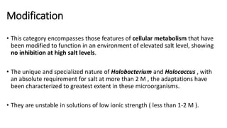 Halophiles : Adaptive strategies | PPTX