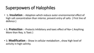 Halophiles : Adaptive strategies | PPTX