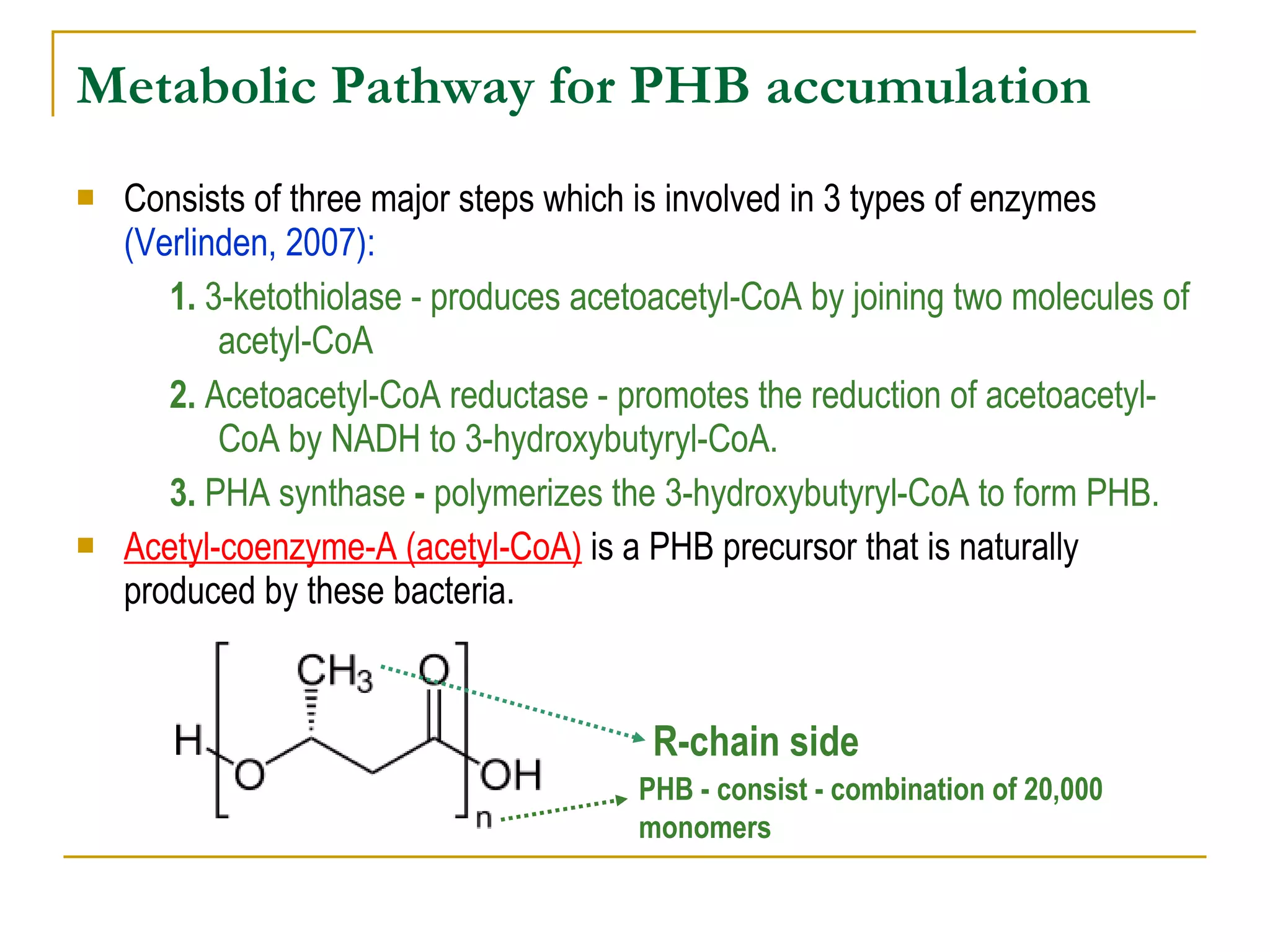 Polymeric Porous 3-D Scaffolds | PPT