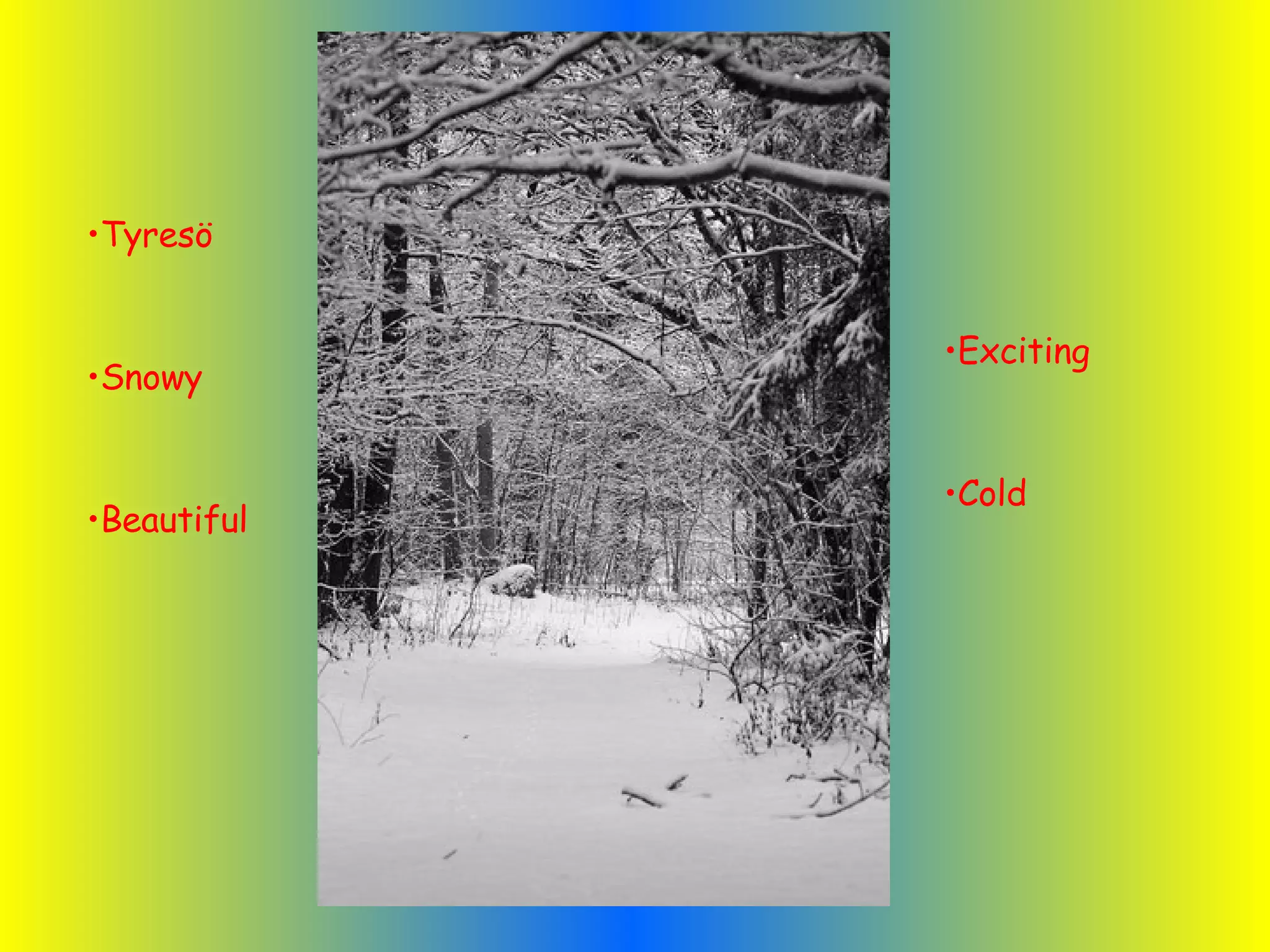 My Christmas Holiday | PPT