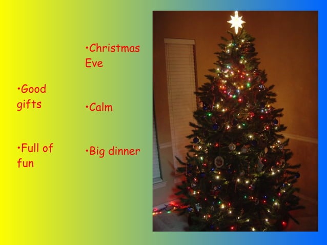 My Christmas Holiday | PPT