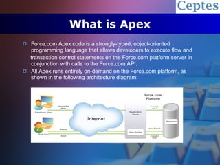 My cool new Slideshow! | PPT