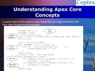 My cool new Slideshow! | PPT