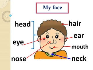 My face | PDF