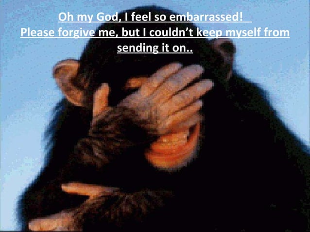 My first presentation | PPS