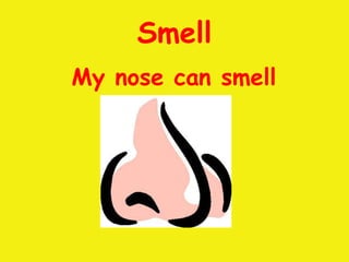 my-five-senses-conversation-topics-dialogs-fun-activities-games_42578.ppt