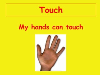 my-five-senses-conversation-topics-dialogs-fun-activities-games_42578.ppt
