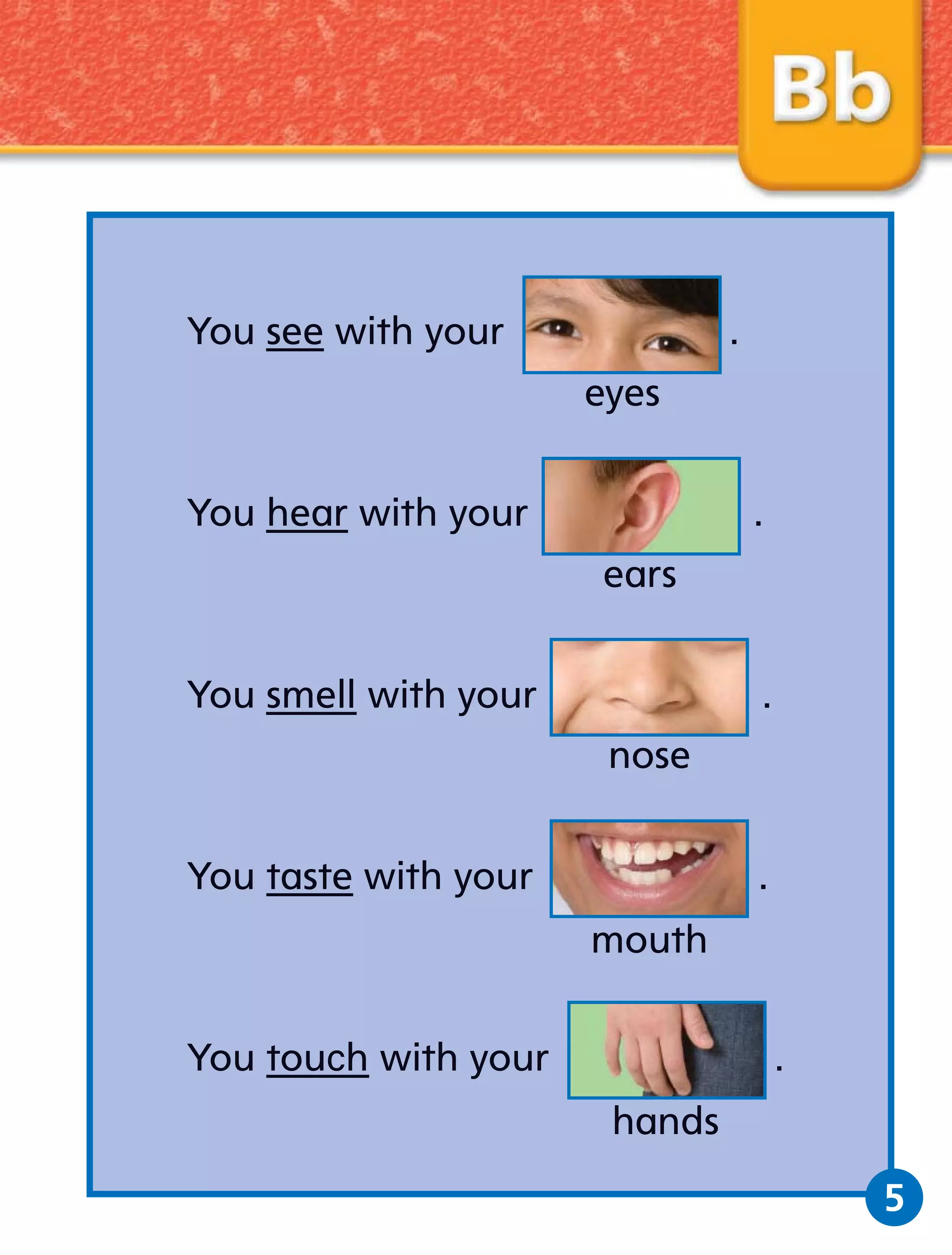 My new-words-picture-word-book | PDF