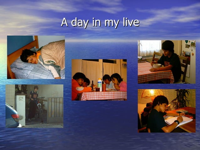 My Presentation | PPT