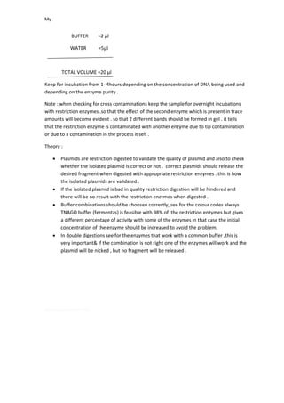 Molecular biology Lab protocol | PDF