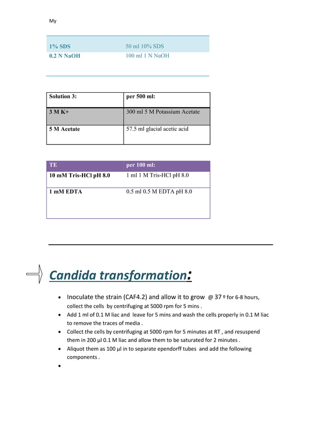 Molecular biology Lab protocol | PDF