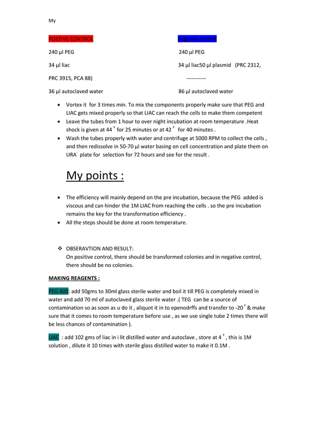 Molecular biology Lab protocol | PDF