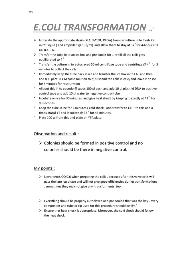Molecular biology Lab protocol | PDF