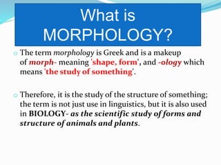 Morphology | PPT