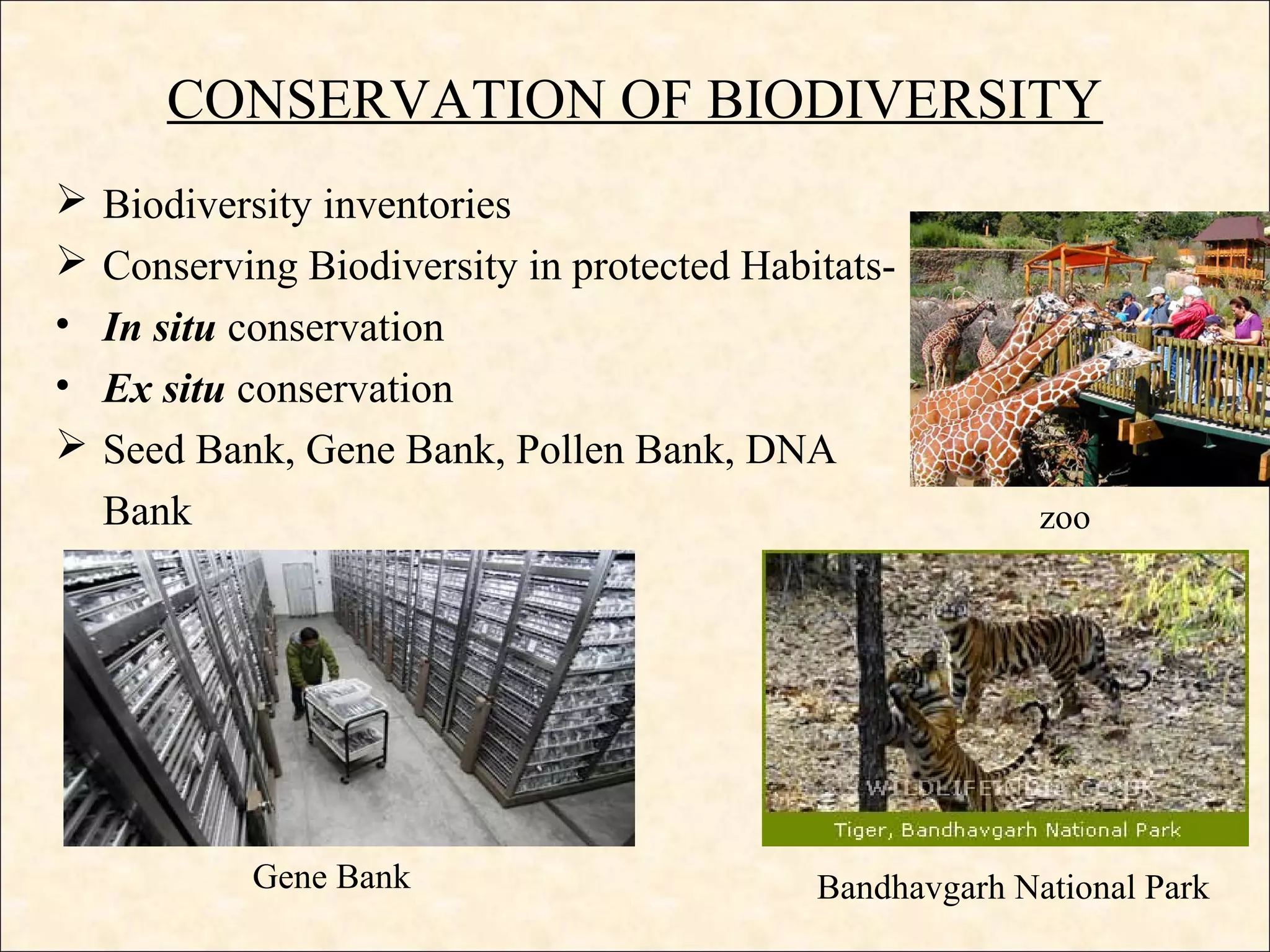 PPT OF BIODIVERSITY | PPT