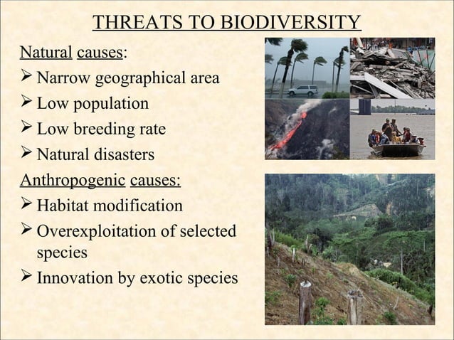 PPT OF BIODIVERSITY | PPT | Geography | Science