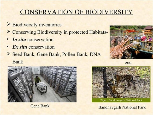 PPT OF BIODIVERSITY | PPT | Geography | Science