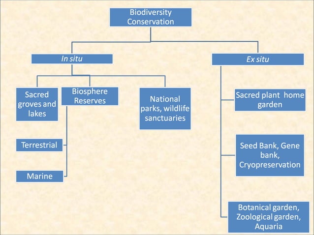 PPT OF BIODIVERSITY | PPT | Geography | Science