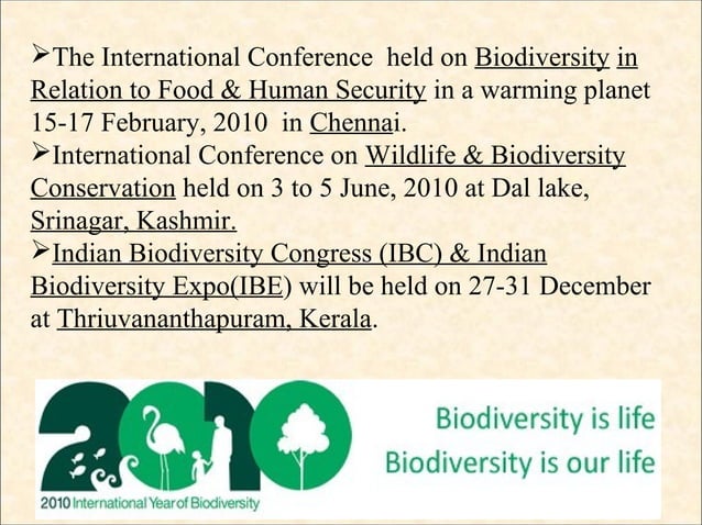 PPT OF BIODIVERSITY | PPT | Geography | Science