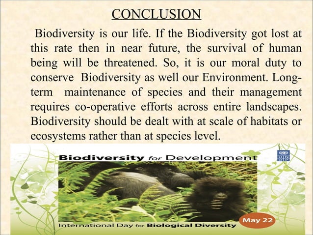 PPT OF BIODIVERSITY | PPT | Geography | Science