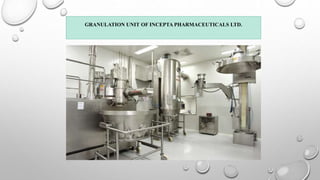 Solid dosage form/Incepta.pptx