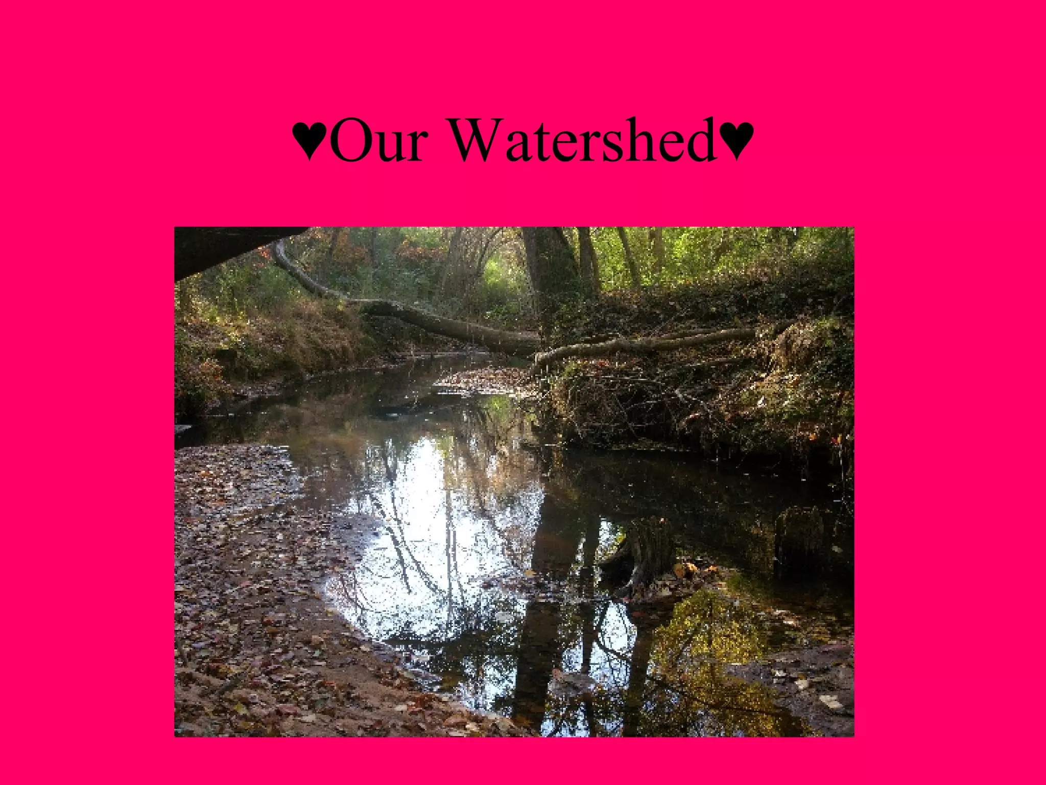 My Watershed Presentation | PPT
