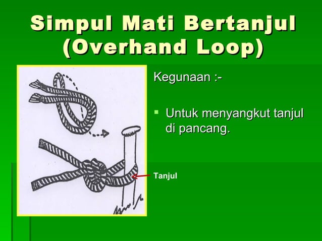 My 2 pengenalan tali - ikatan & simpulan - t2 | PPT