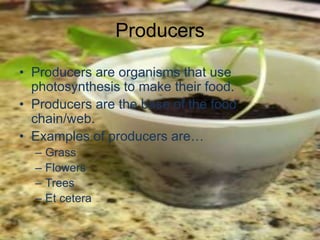 My Science Project for mr. Medina's Class | PPT