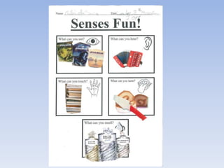 My 5 senses | PPT