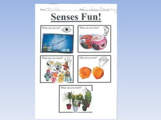 My 5 senses | PPSX