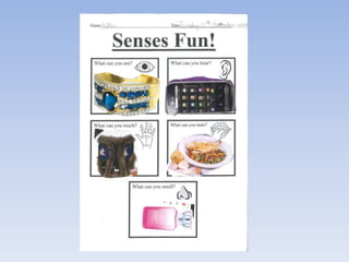 My 5 senses | PPSX
