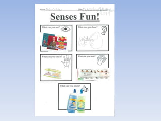 My 5 senses | PPT
