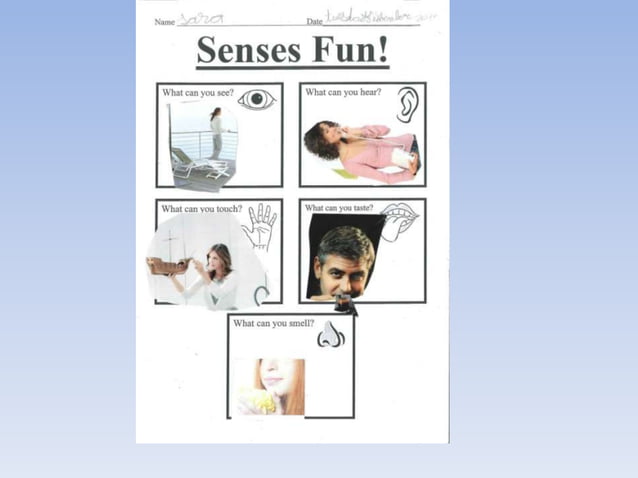 My 5 senses | PPSX