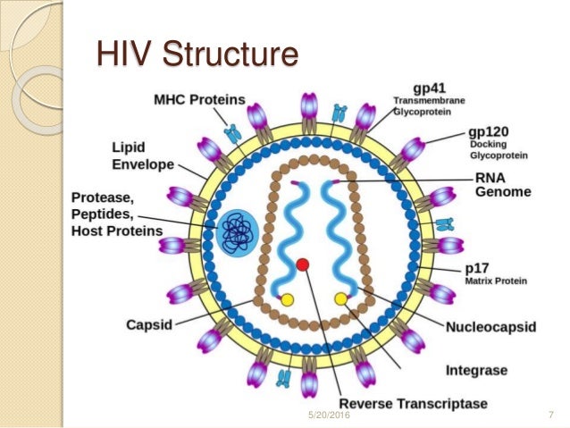 HIV/ AIDS: Recent advances 2016