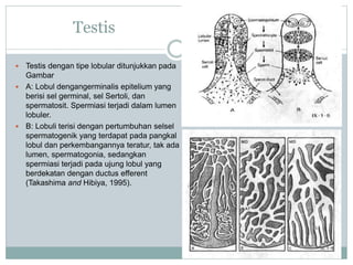 Kinerja Hormon Reproduksi ikan pada matakuliah endokrinologi ikan.pptx