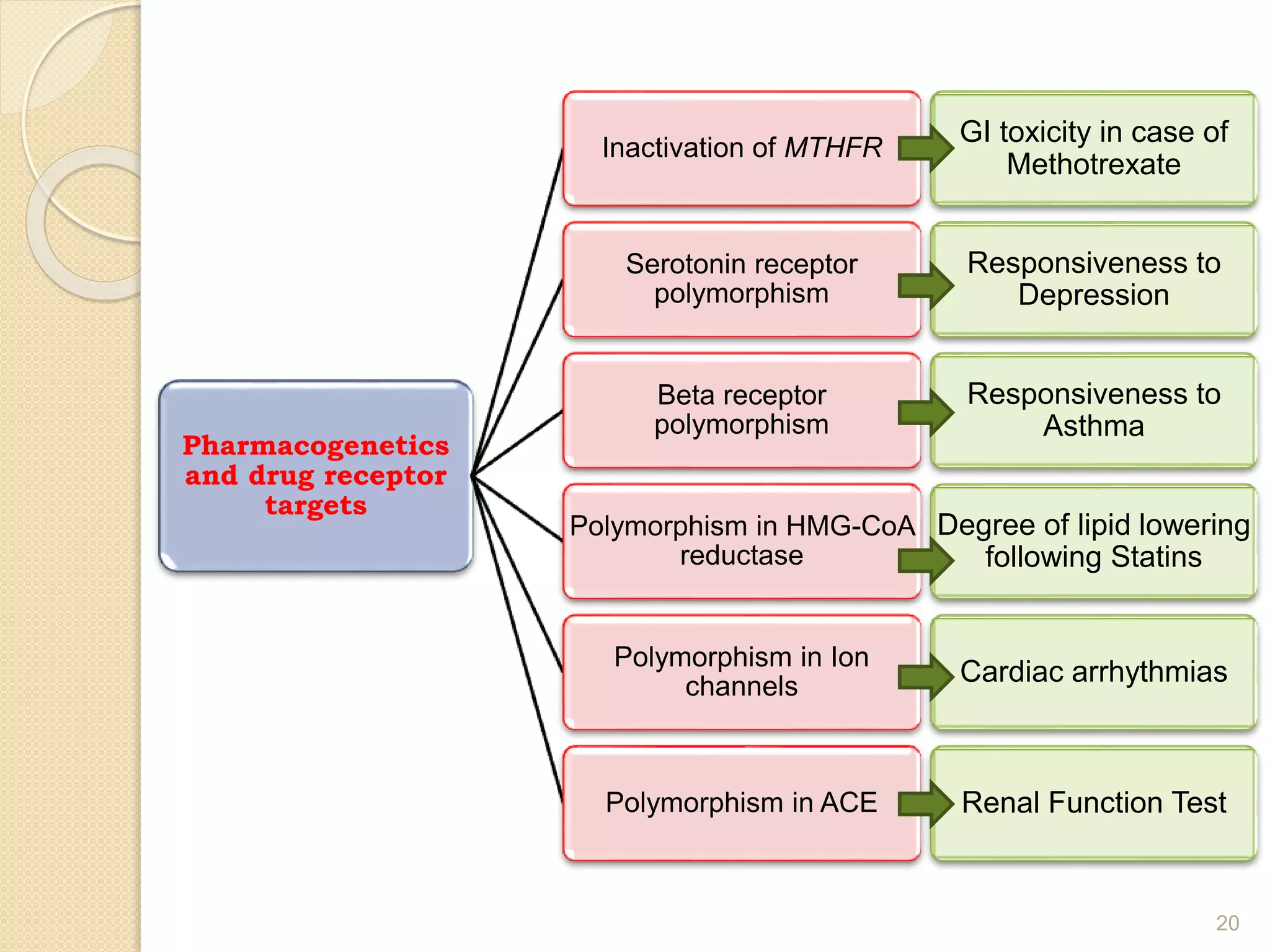 Pharmacogenetics and Pharmacogenomics | PPTX