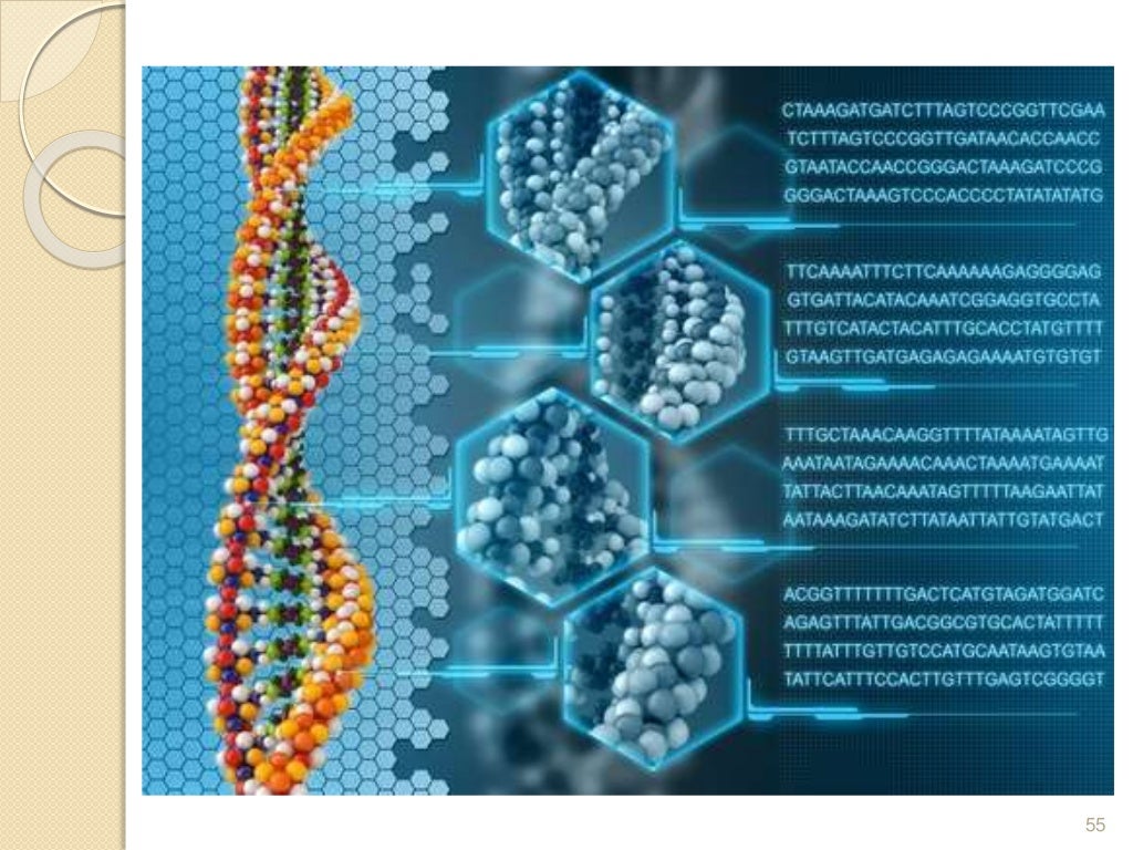 Pharmacogenetics and Pharmacogenomics