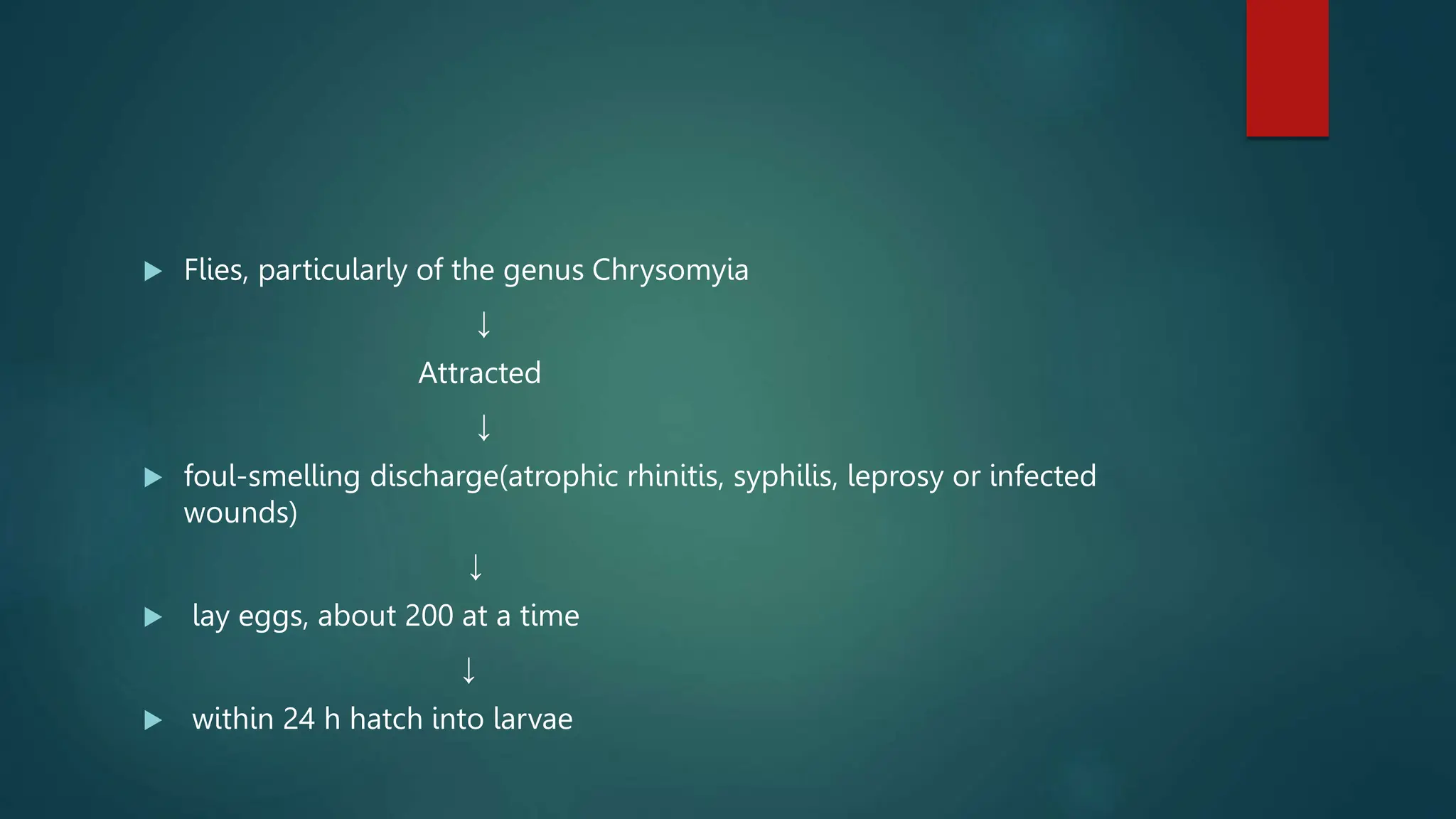Myiasis in Ear Nose Throat and HNS .pptx