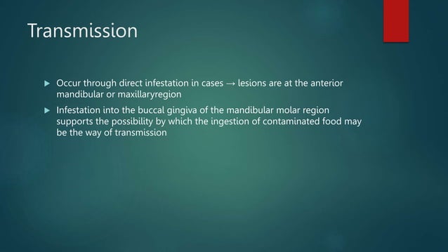 Myiasis in Ear Nose Throat and HNS .pptx