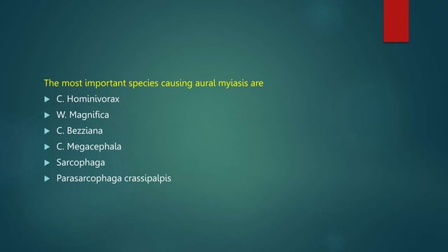 Myiasis in Ear Nose Throat and HNS .pptx