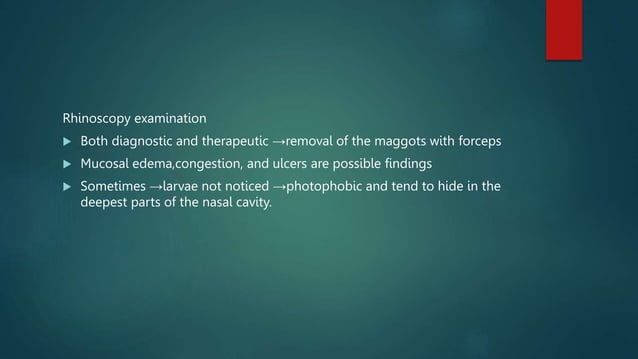 Myiasis in Ear Nose Throat and HNS .pptx