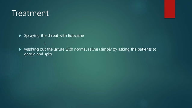 Myiasis in Ear Nose Throat and HNS .pptx